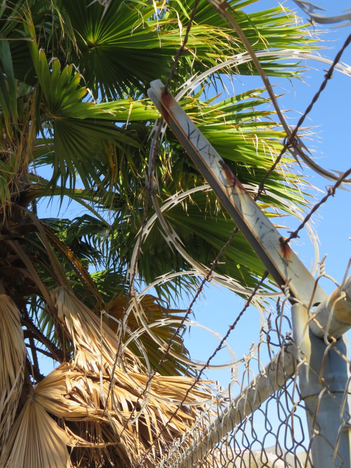John Brantingham: Five Poems About the Santa Ana Winds – As It Ought To Be