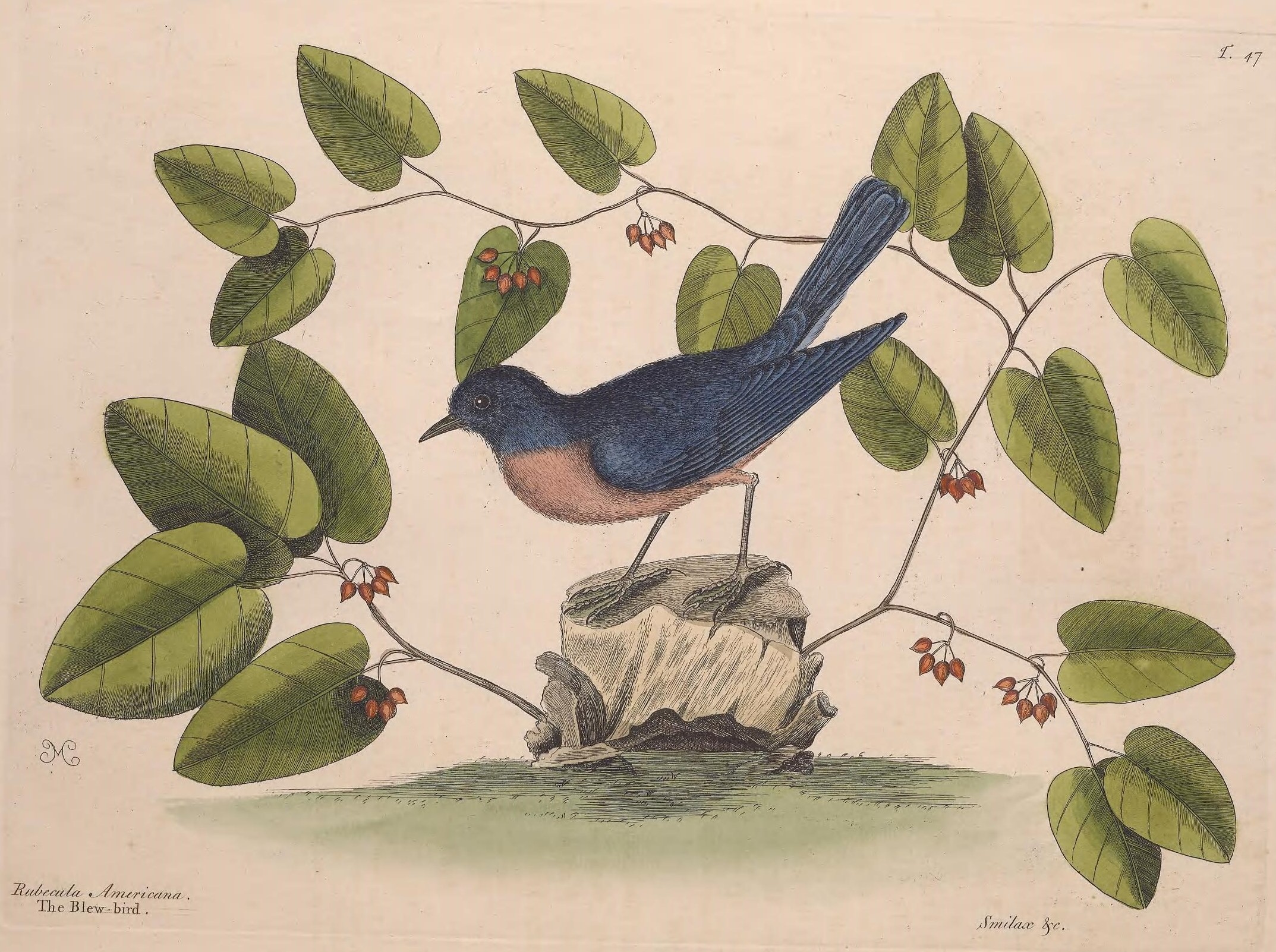 John Macker: “The Gentle Hours” – As It Ought To Be